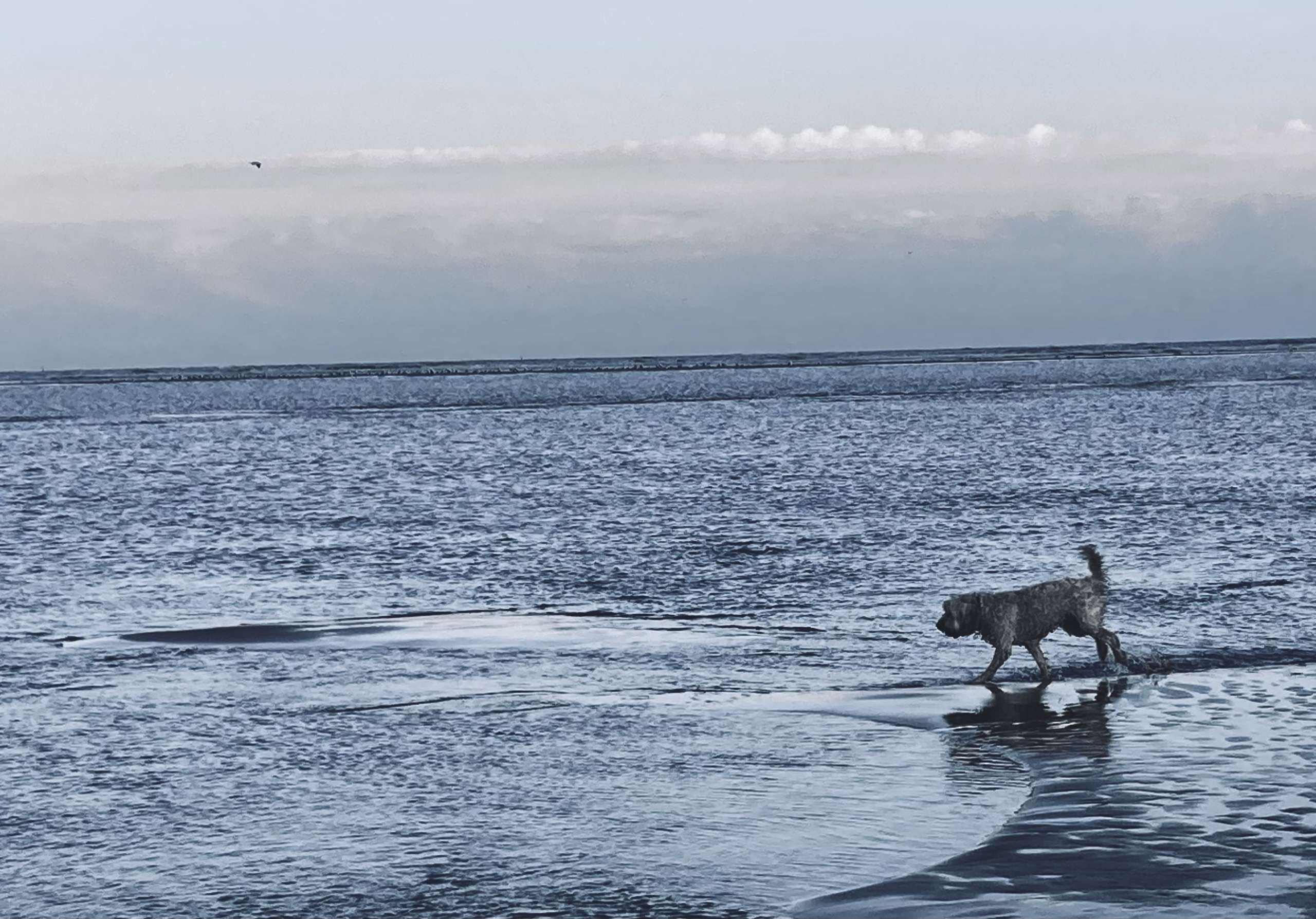 Contemplative Beguinage – Information, encouragement and support for ...